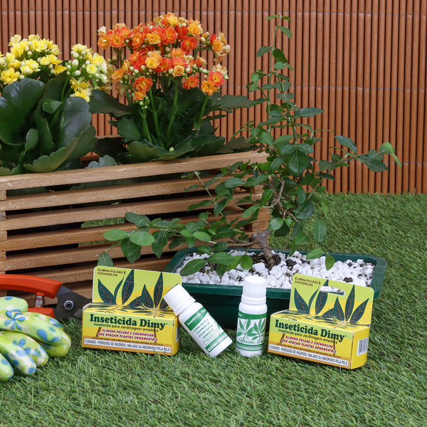 Inseticida: como escolher o produto certo para a sua casa - Blog Leroy ...