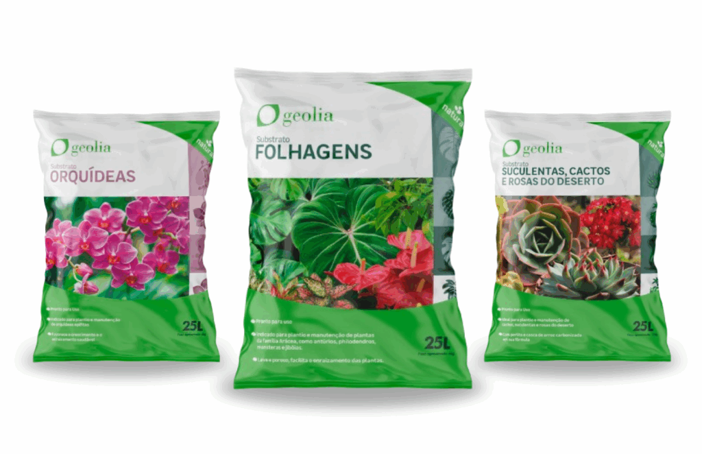 Substrato para plantas: o que é e para que serve | Blog Leroy Merlin