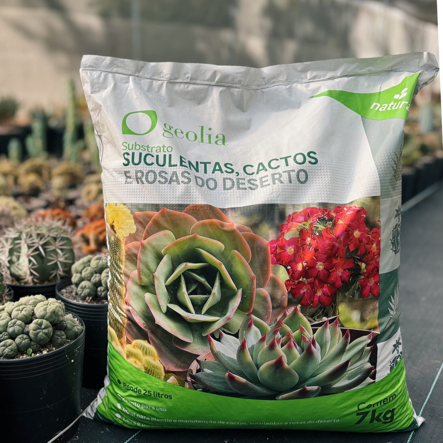 Substrato para plantas: o que é e para que serve | Blog Leroy Merlin