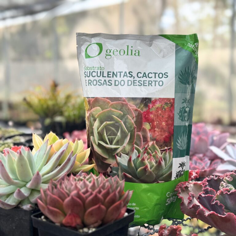 Substrato para plantas: o que é e para que serve | Blog Leroy Merlin